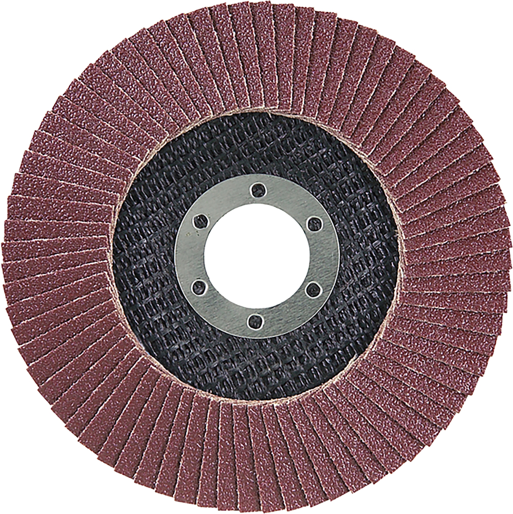 D-27305 - Flap Disc, 125 x 22.23 mm, A120